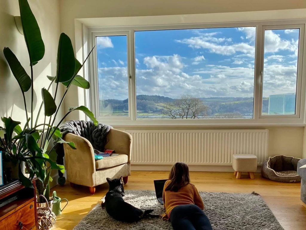 Windows - Regency Windows